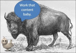 Five steps to establish a content-creating company culture - Schaefer ...