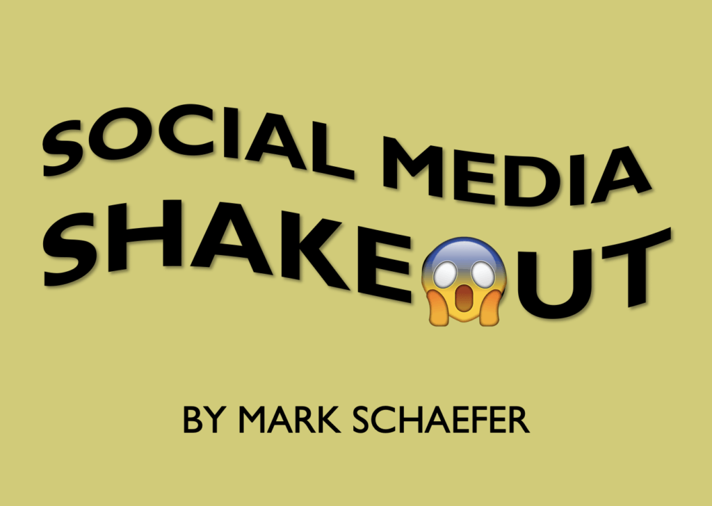 Social media shakeout: Why the future of social media is hazy ...