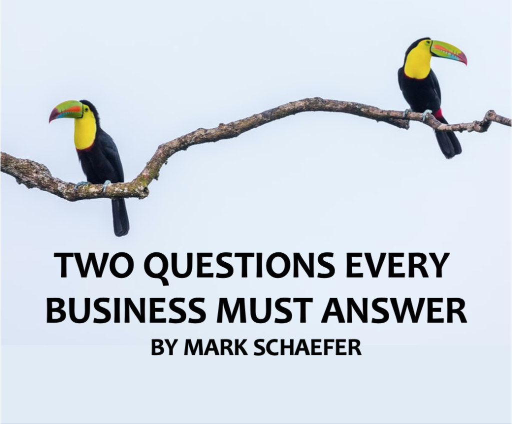 The two key business questions every website must answer - Schaefer ...